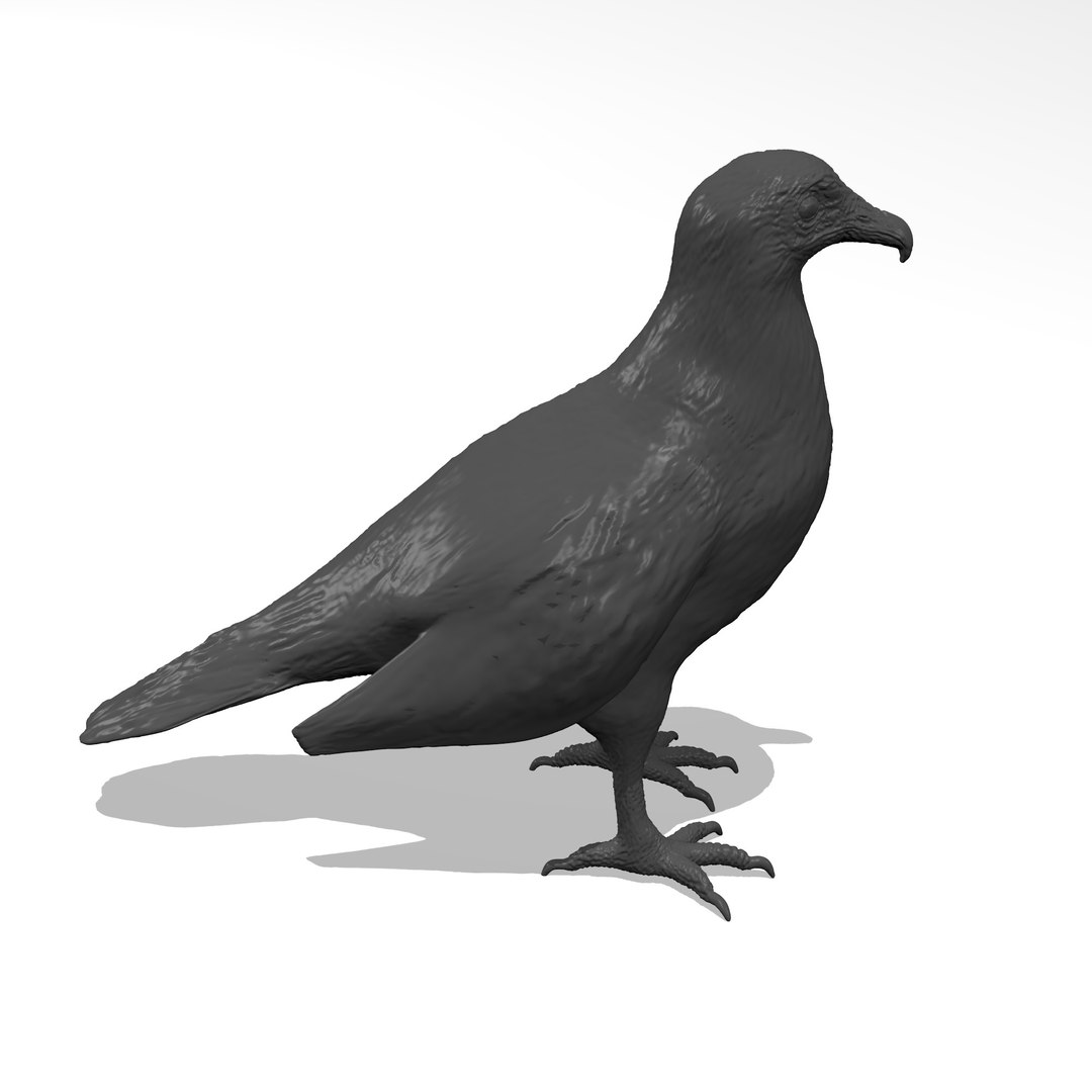 Printable Birds 3D Model - TurboSquid 1893924