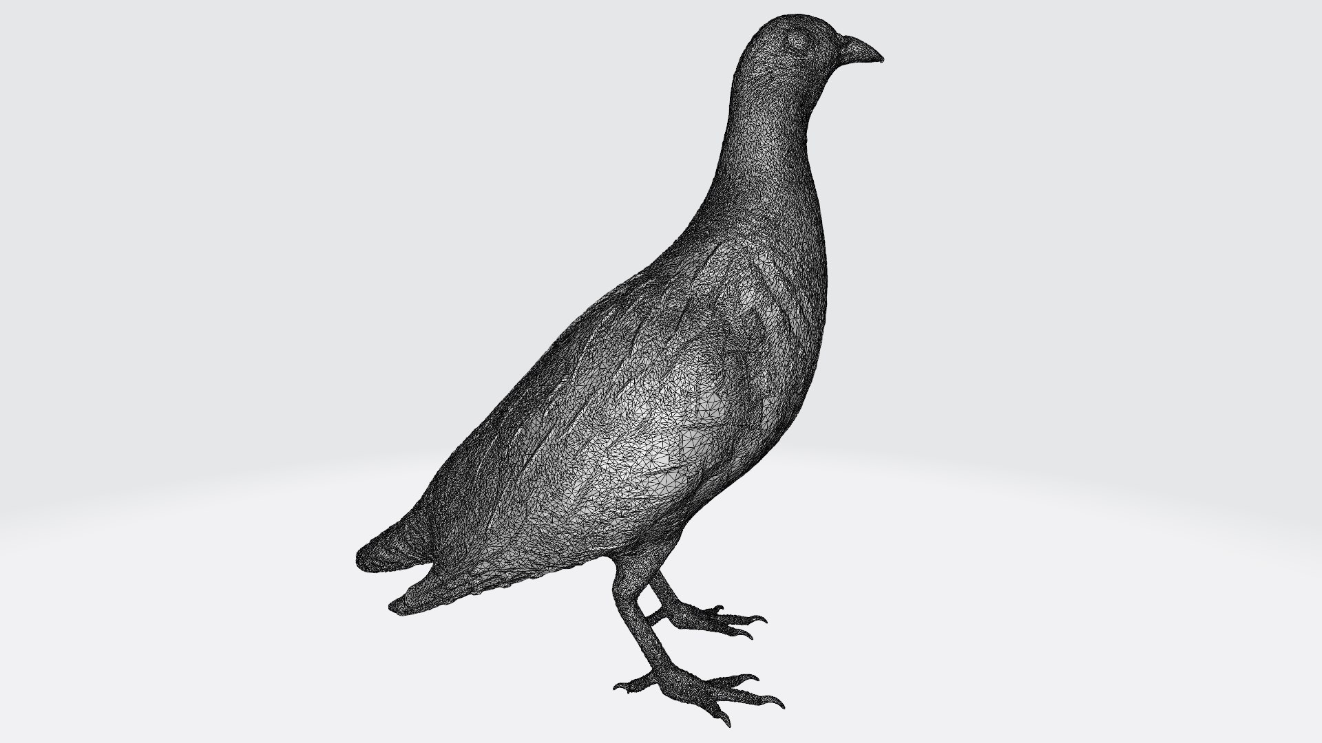 Printable birds 3D model - TurboSquid 1893924