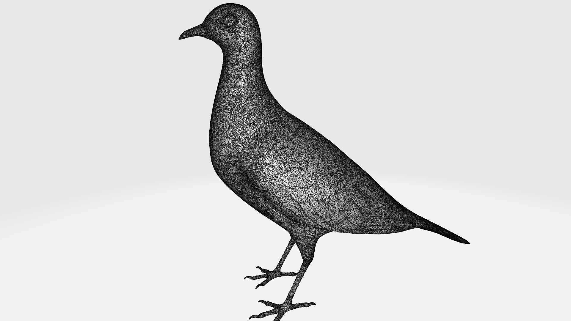 Printable Birds 3D Model - TurboSquid 1893924