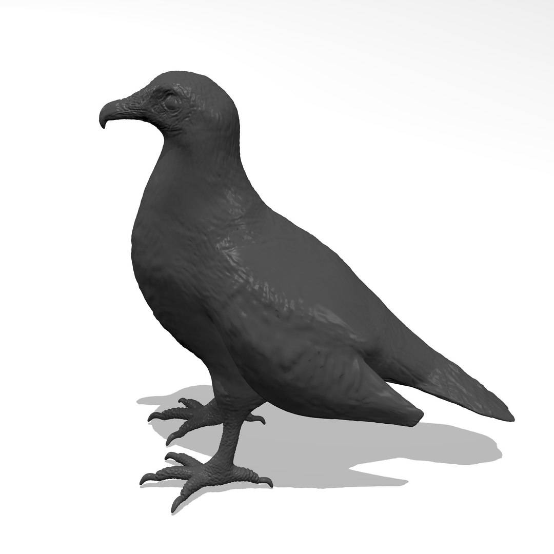 Printable Birds 3D Model - TurboSquid 1893924