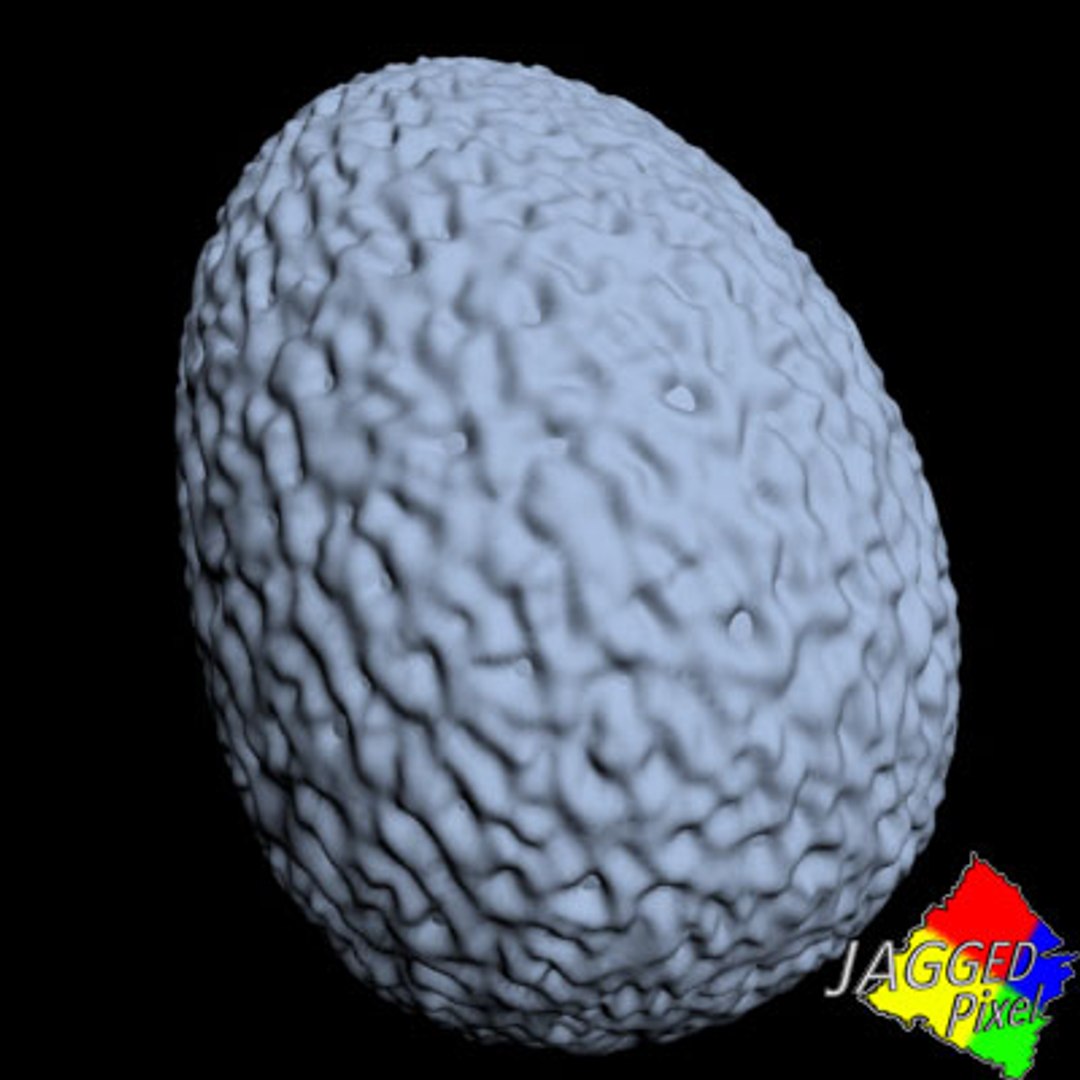 3d Bacteria Coccus