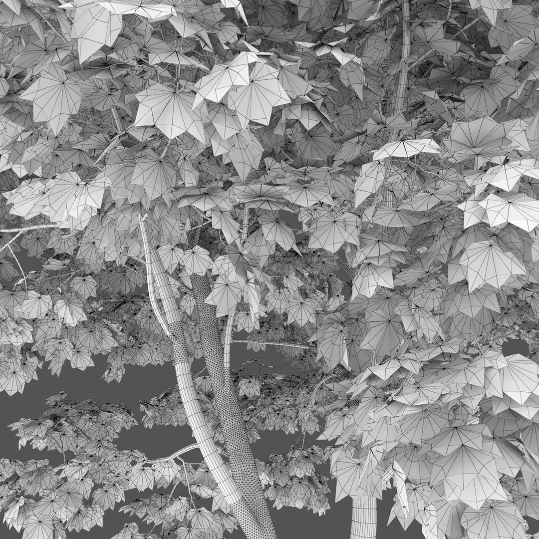 3D model maple trees - TurboSquid 1692682