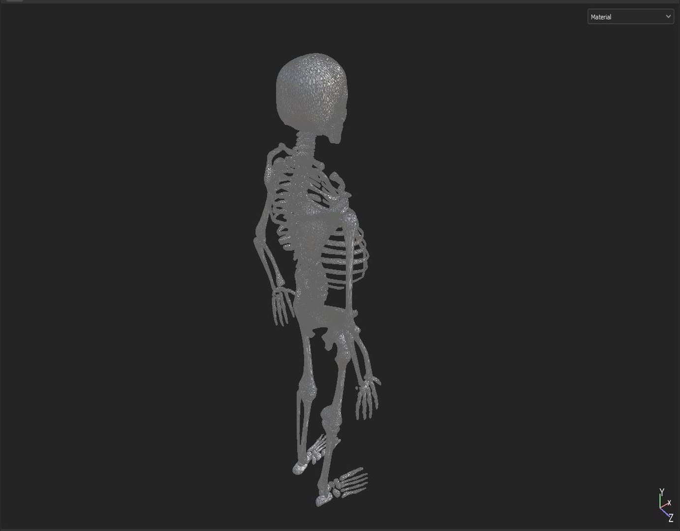 Surgical Skeleton 3D Model - TurboSquid 2072148