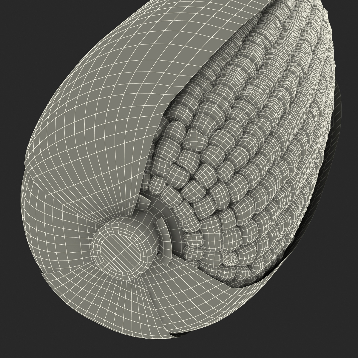 3d corn 2 model