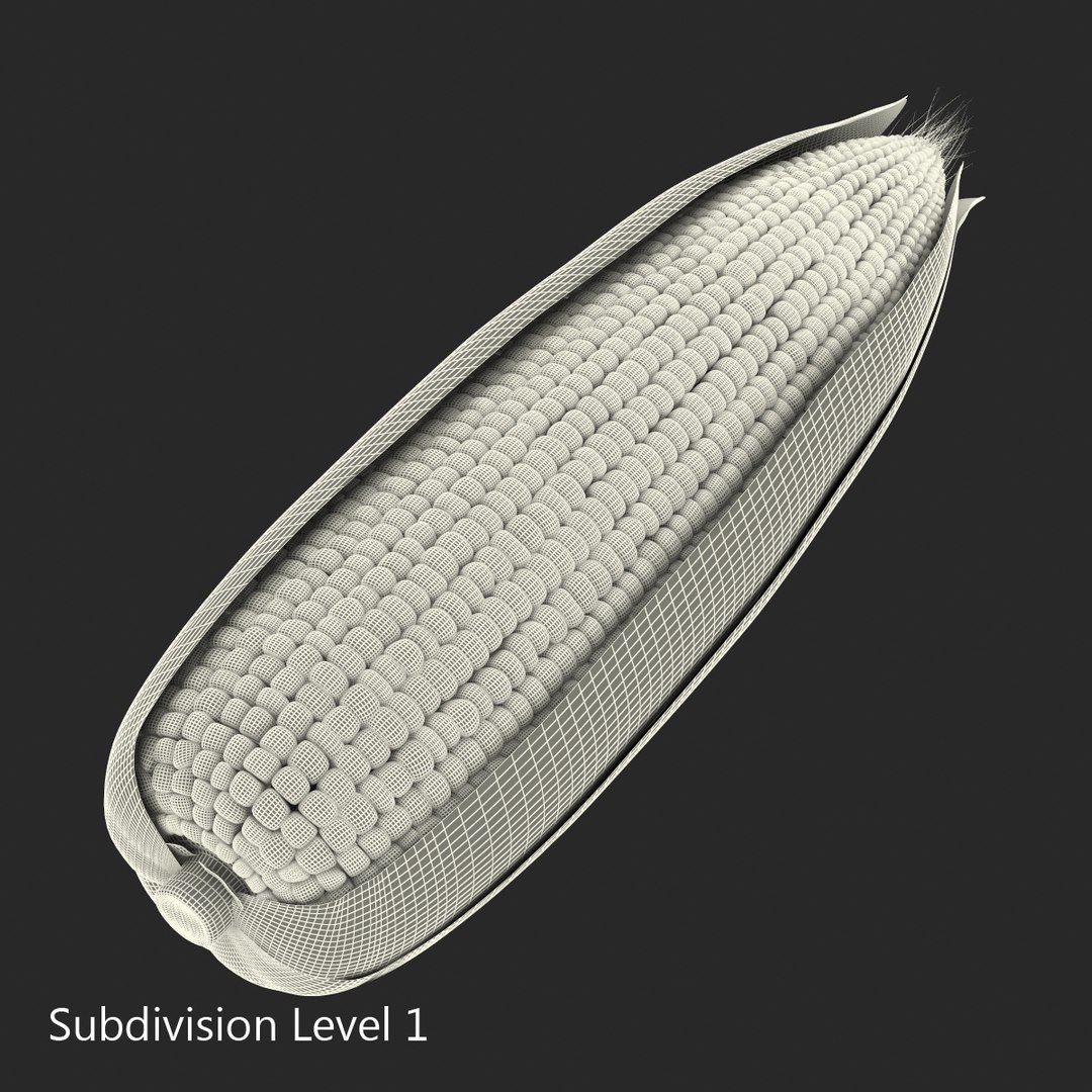 3d Corn 2 Model
