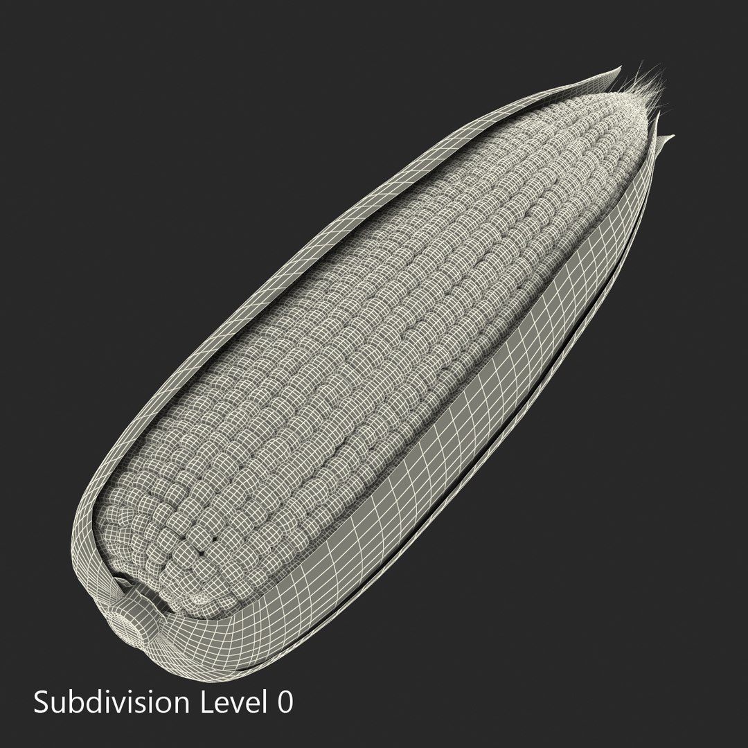 3d Corn 2 Model