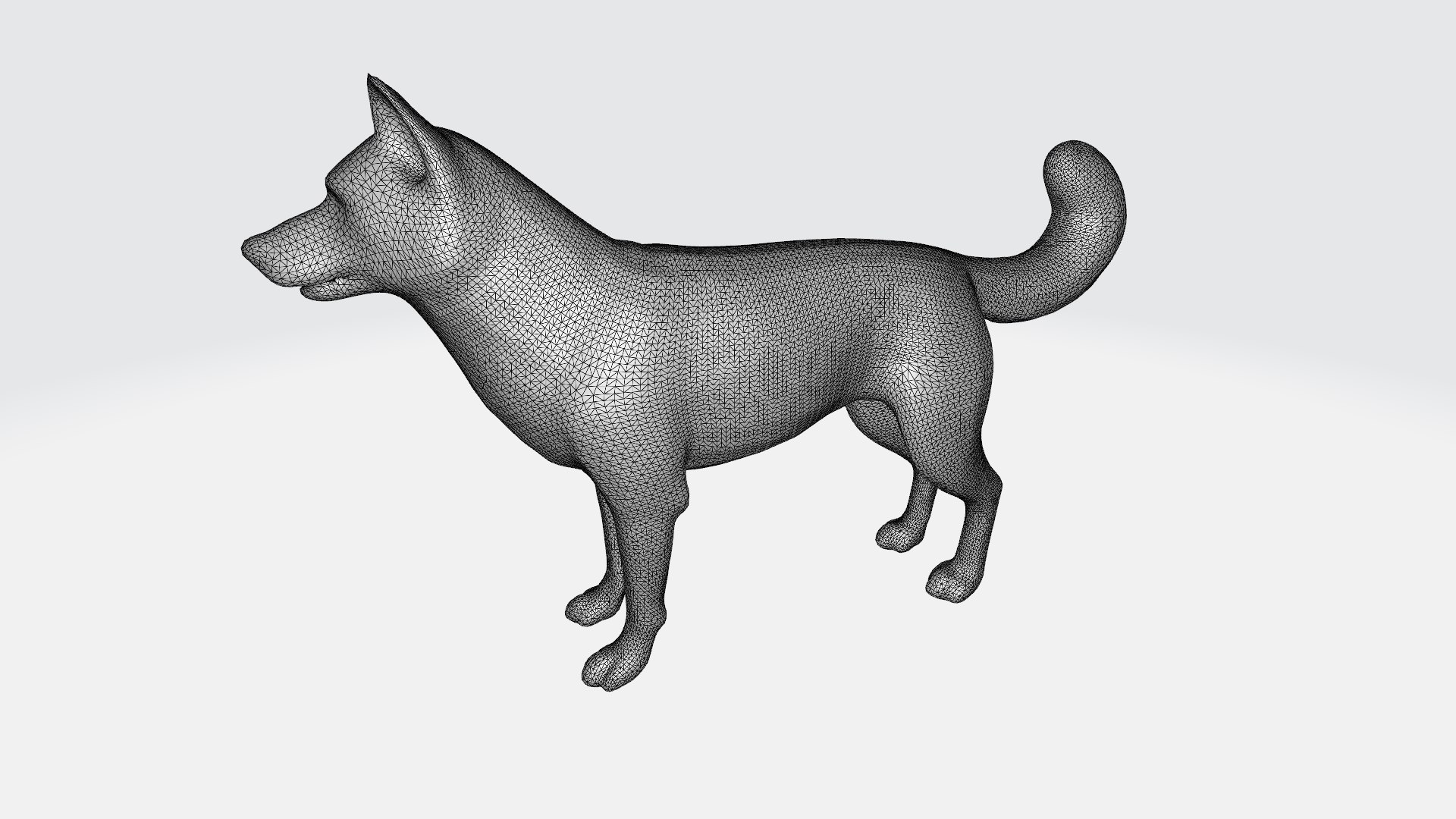 3D Siberian Husky Dog 3d Model High Resolution Model - TurboSquid 2351294
