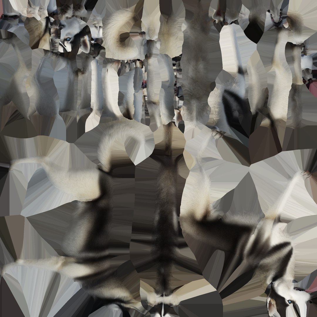 3D Siberian Husky Dog 3d Model High Resolution Model - TurboSquid 2351294