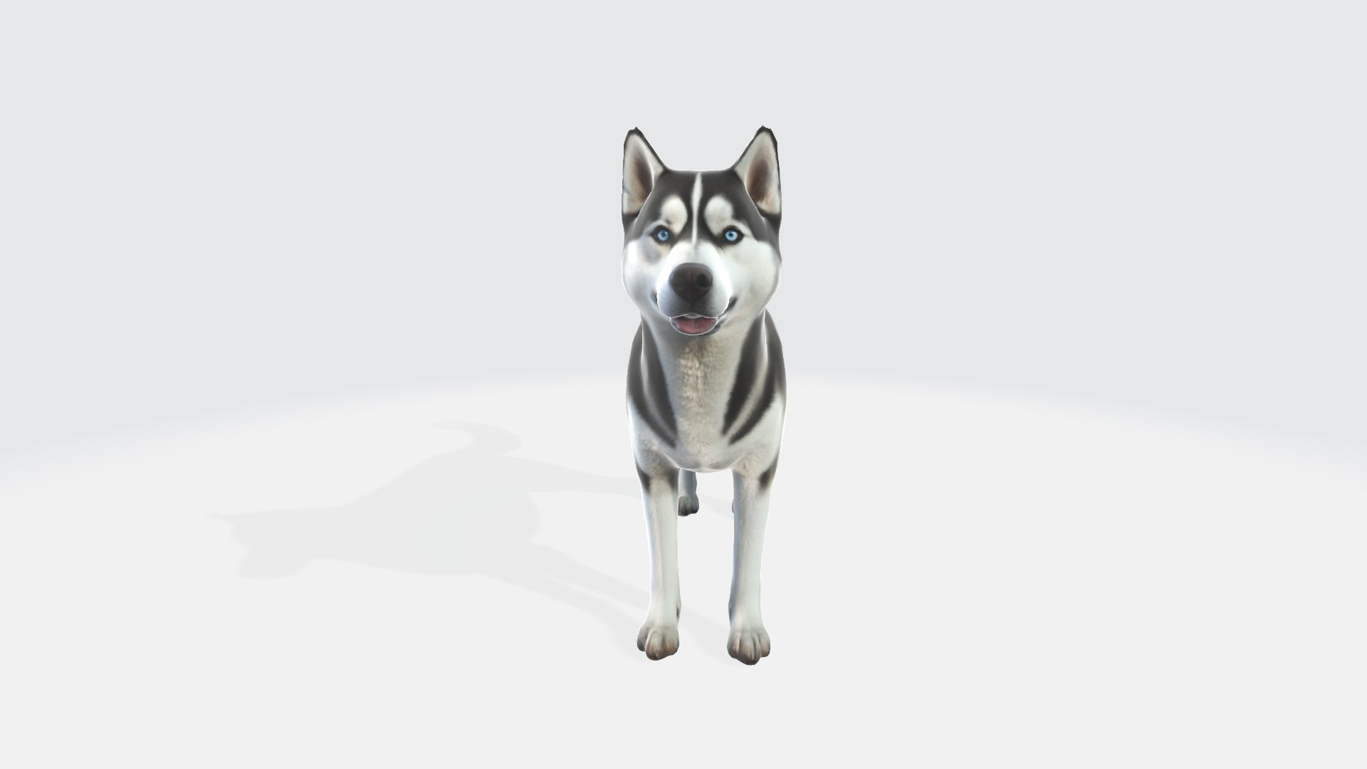 3D Siberian Husky Dog 3d Model High Resolution Model - TurboSquid 2351294