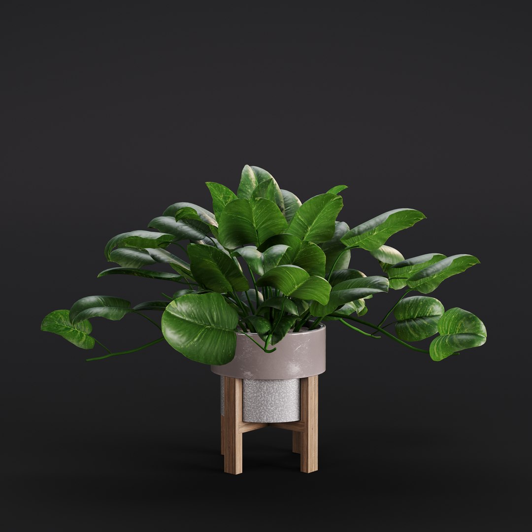 3D Model Archmodels Vol 282 For C4d - TurboSquid 2203663