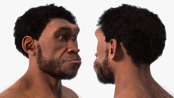 modelo 3d Homo Erectus con piel de lanza - TurboSquid 2170069