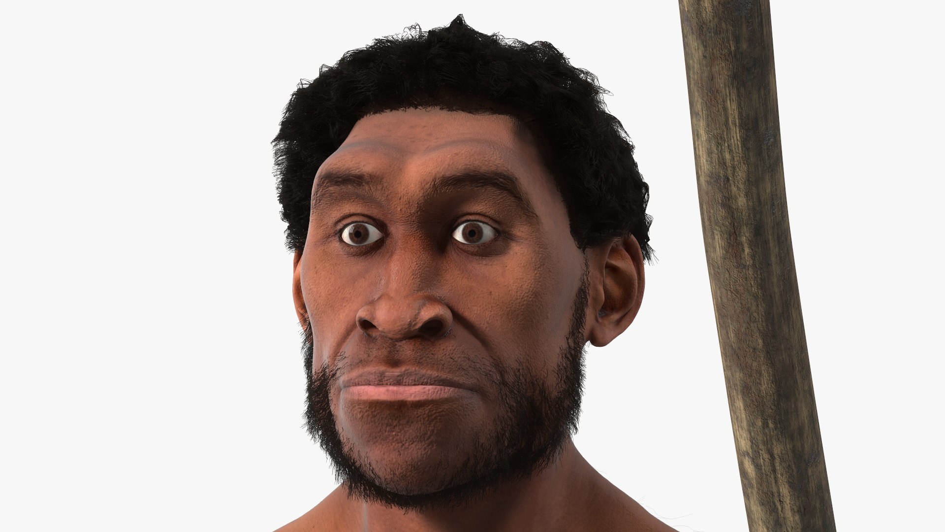 3D Homo Erectus with Spear Fur - TurboSquid 2170069