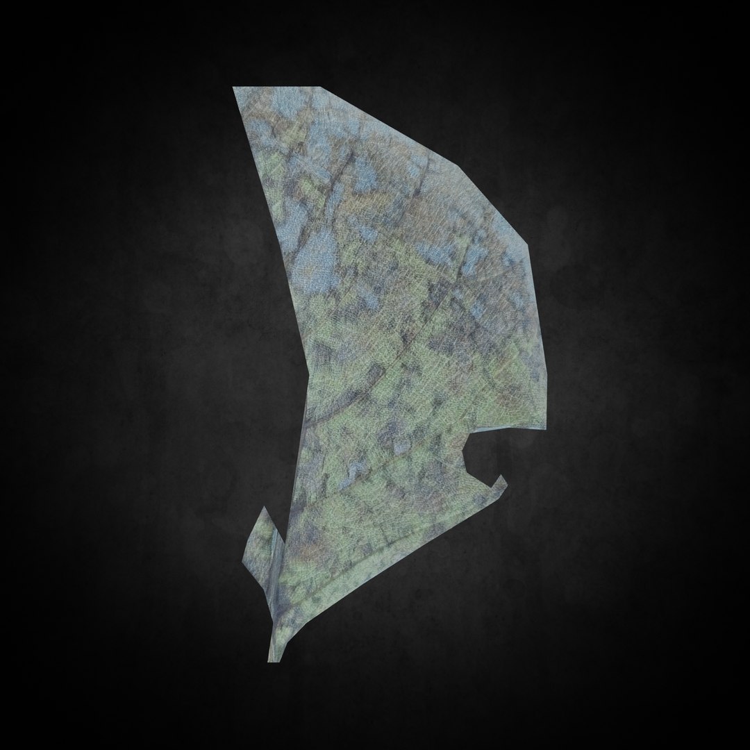 3D Low Poly Leaf 028 - TurboSquid 1852157