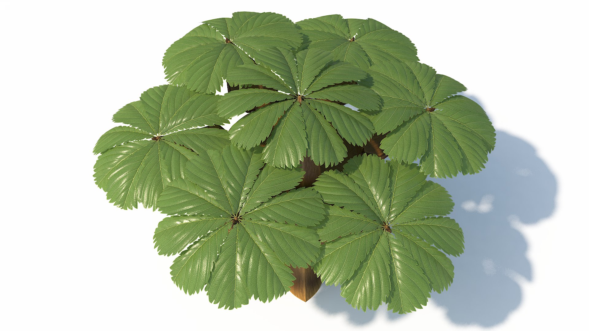 Round house 3D model - TurboSquid 1837081