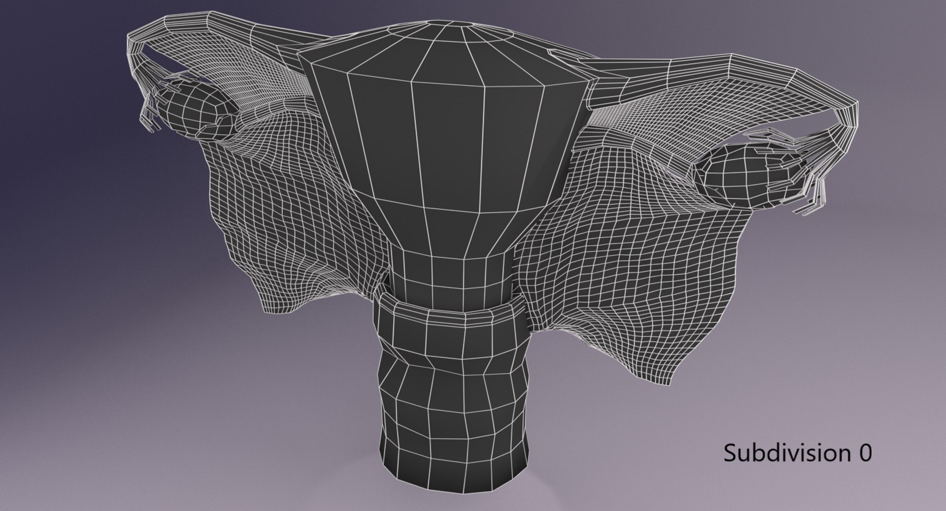 Uterus Vagina Ovary 3D Model - TurboSquid 1320025