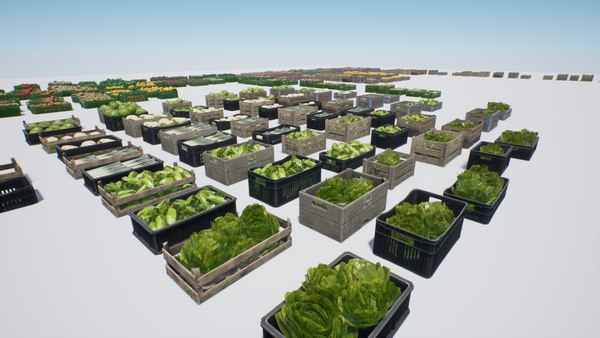 Legumes e adereços Ativo irreal Modelo 3D - TurboSquid 1900654