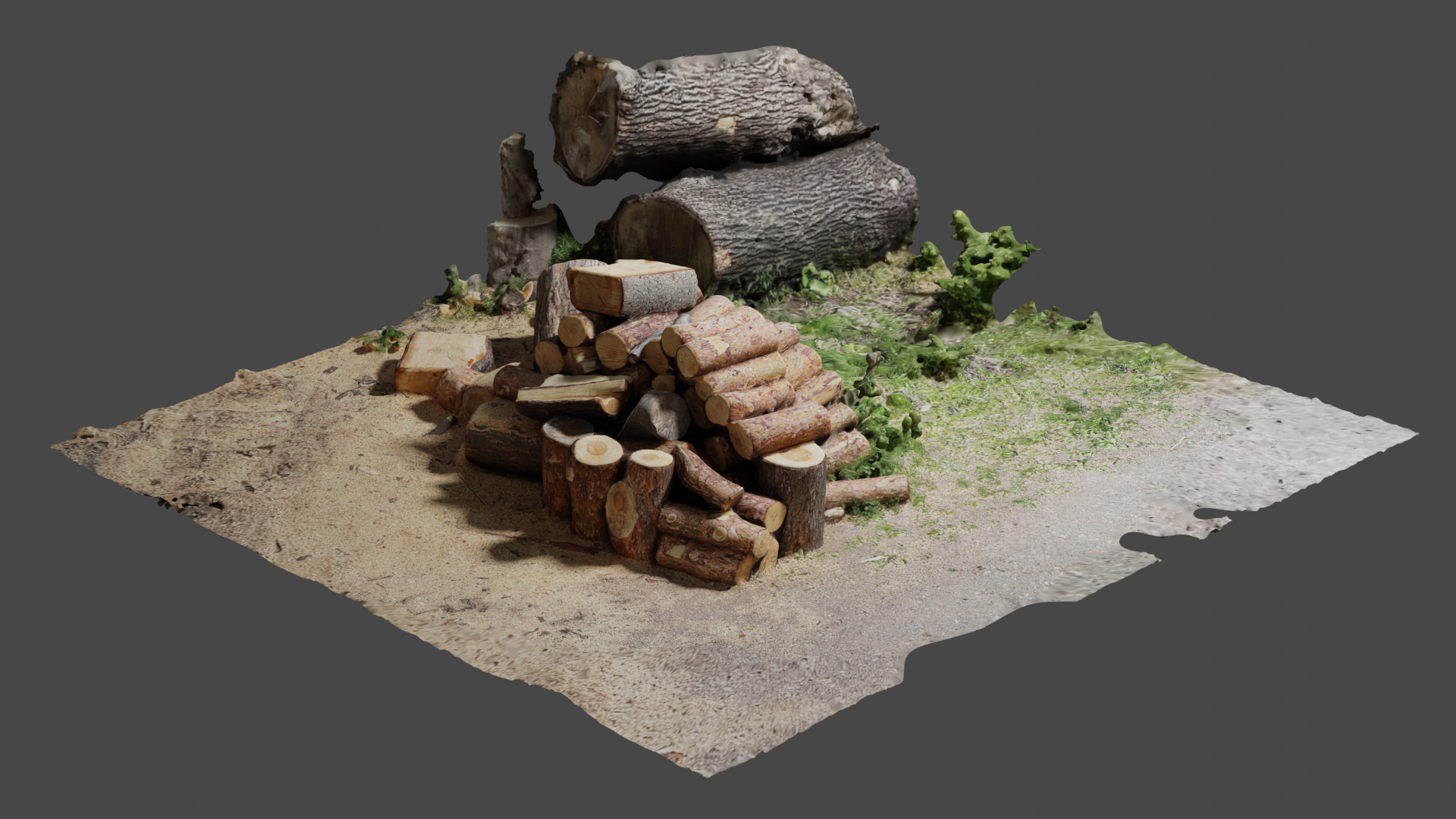 Wood Chopped 3d Scan 3D Model - TurboSquid 1901789