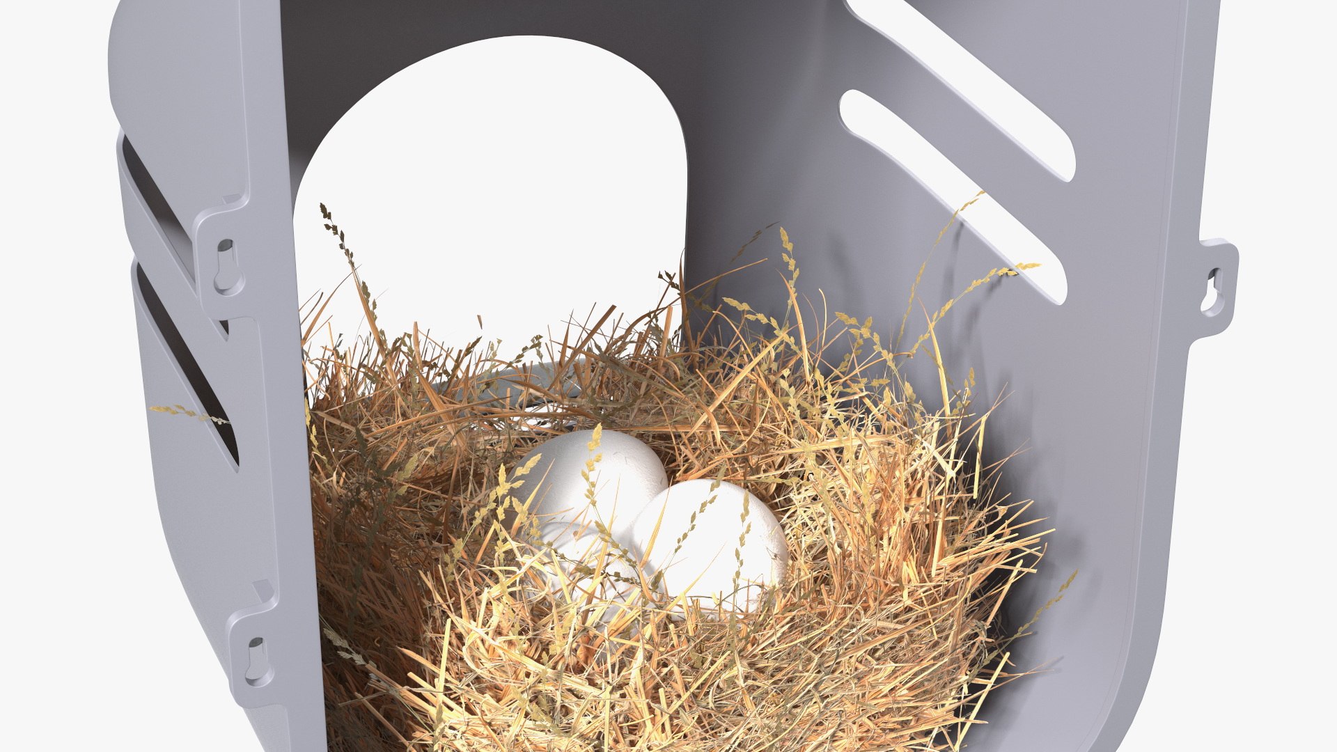 3D Wall Mount Nesting Nest Box with Chicken Eggs - TurboSquid 2113681