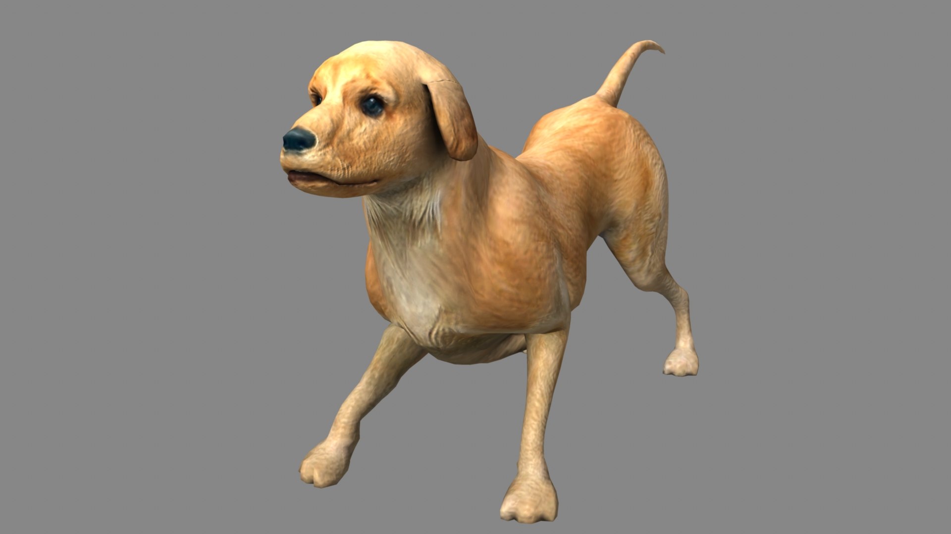modelo 3d PERRO - TurboSquid 2201091