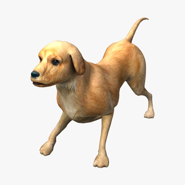 modelo 3d PERRO - TurboSquid 2201091