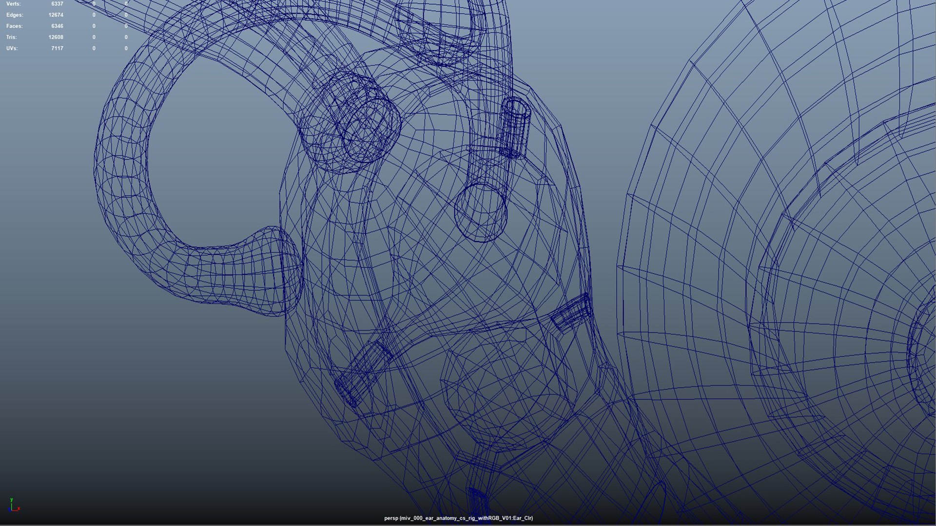 3D Inner Ear Utricle And Saccule - TurboSquid 2190689