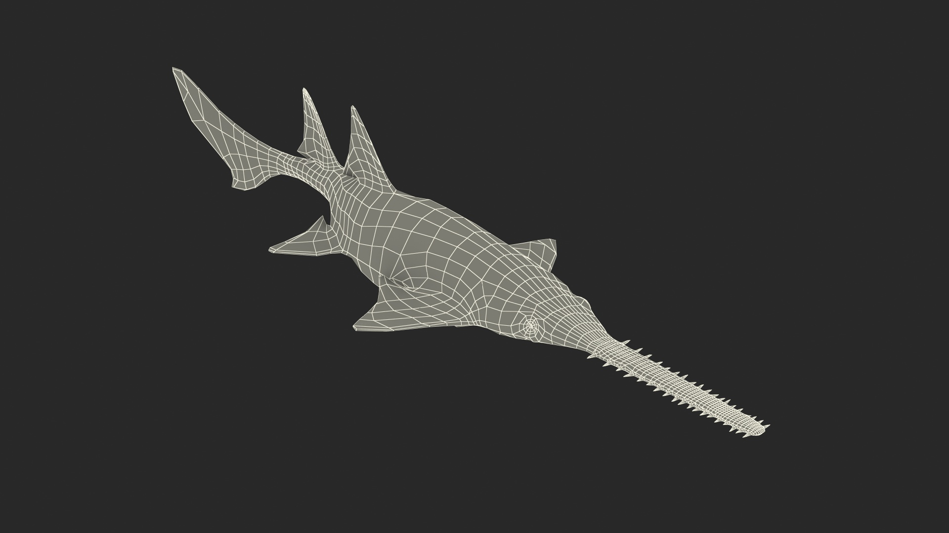 3D Model Sawfish Rigged Fish - TurboSquid 1583244