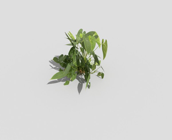 plant 3ds