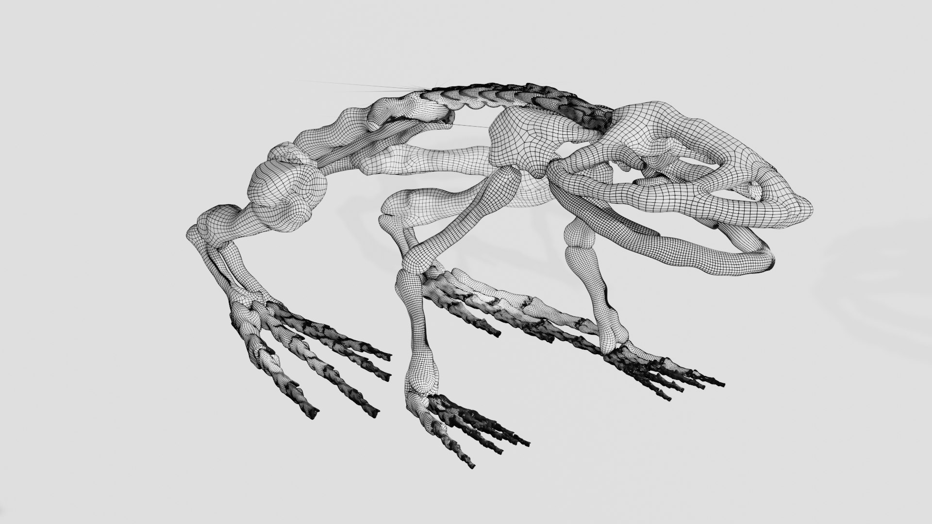 Frog Skeleton 3D Model - TurboSquid 1876542