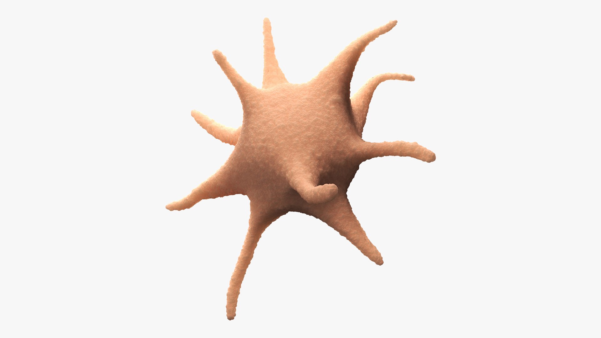 Platelet 3D - TurboSquid 1972135