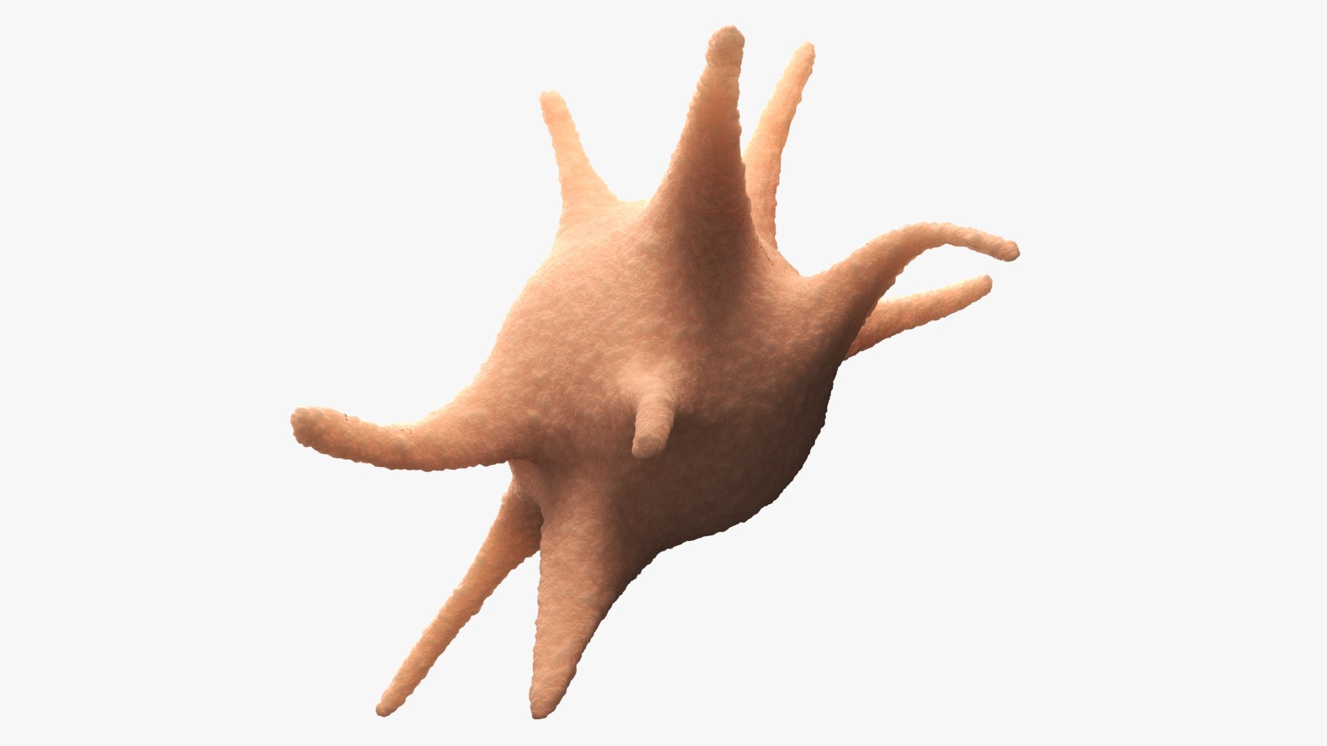 Platelet 3D - TurboSquid 1972135