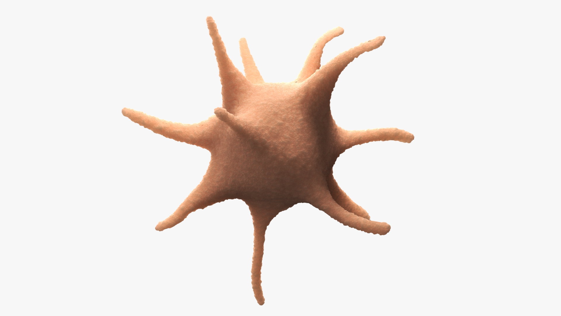 Platelet 3D - TurboSquid 1972135
