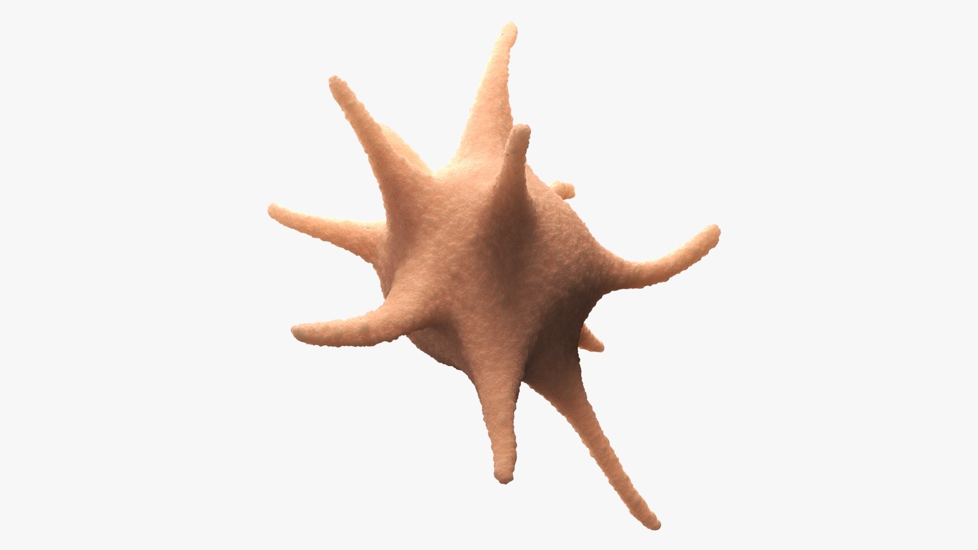 Platelet 3D - TurboSquid 1972135