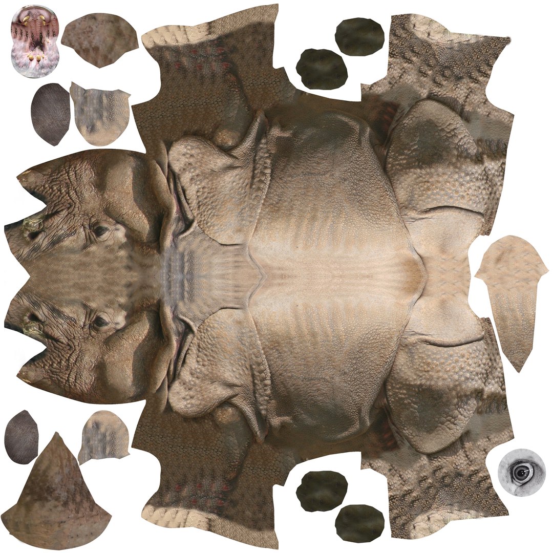 3D realistic rhino - TurboSquid 1264135
