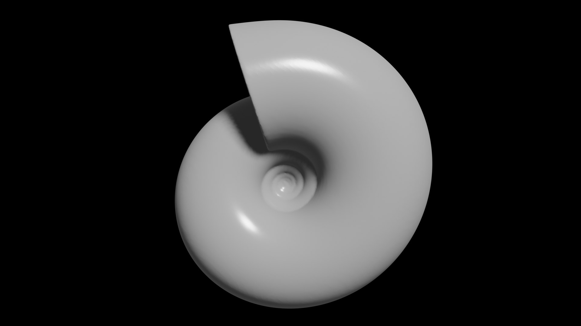 Tumaricone conch smooth 3D model - TurboSquid 1478043