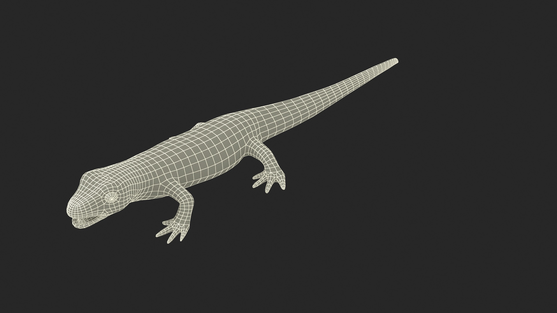 3D Iberian Ribbed Newt Rigged - TurboSquid 2143556