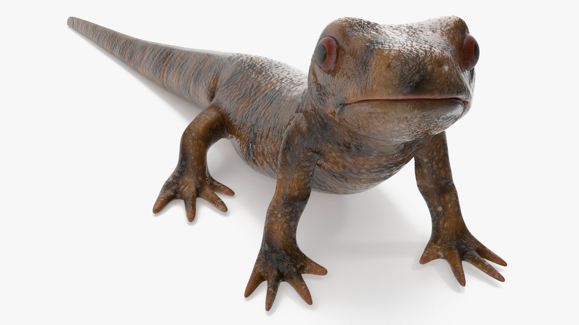 3D Iberian Ribbed Newt Rigged - TurboSquid 2143556