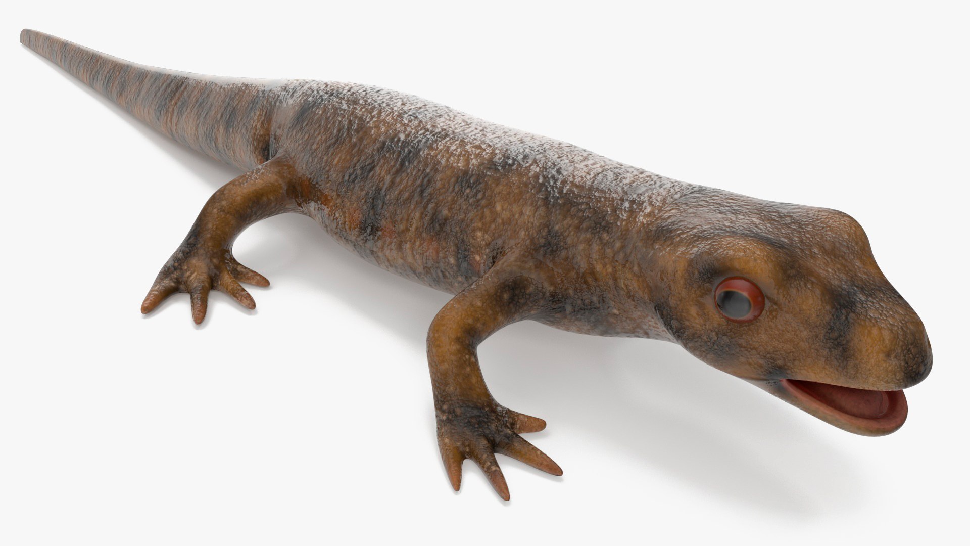 3D Iberian Ribbed Newt Rigged - TurboSquid 2143556