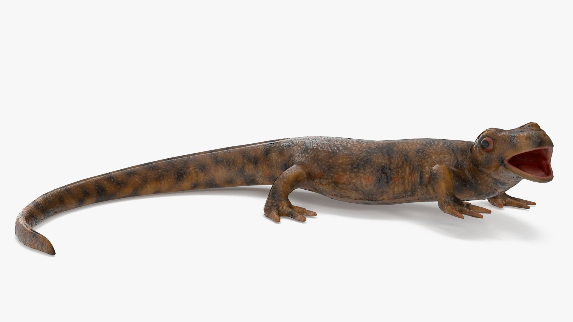 3D Iberian Ribbed Newt Rigged - TurboSquid 2143556