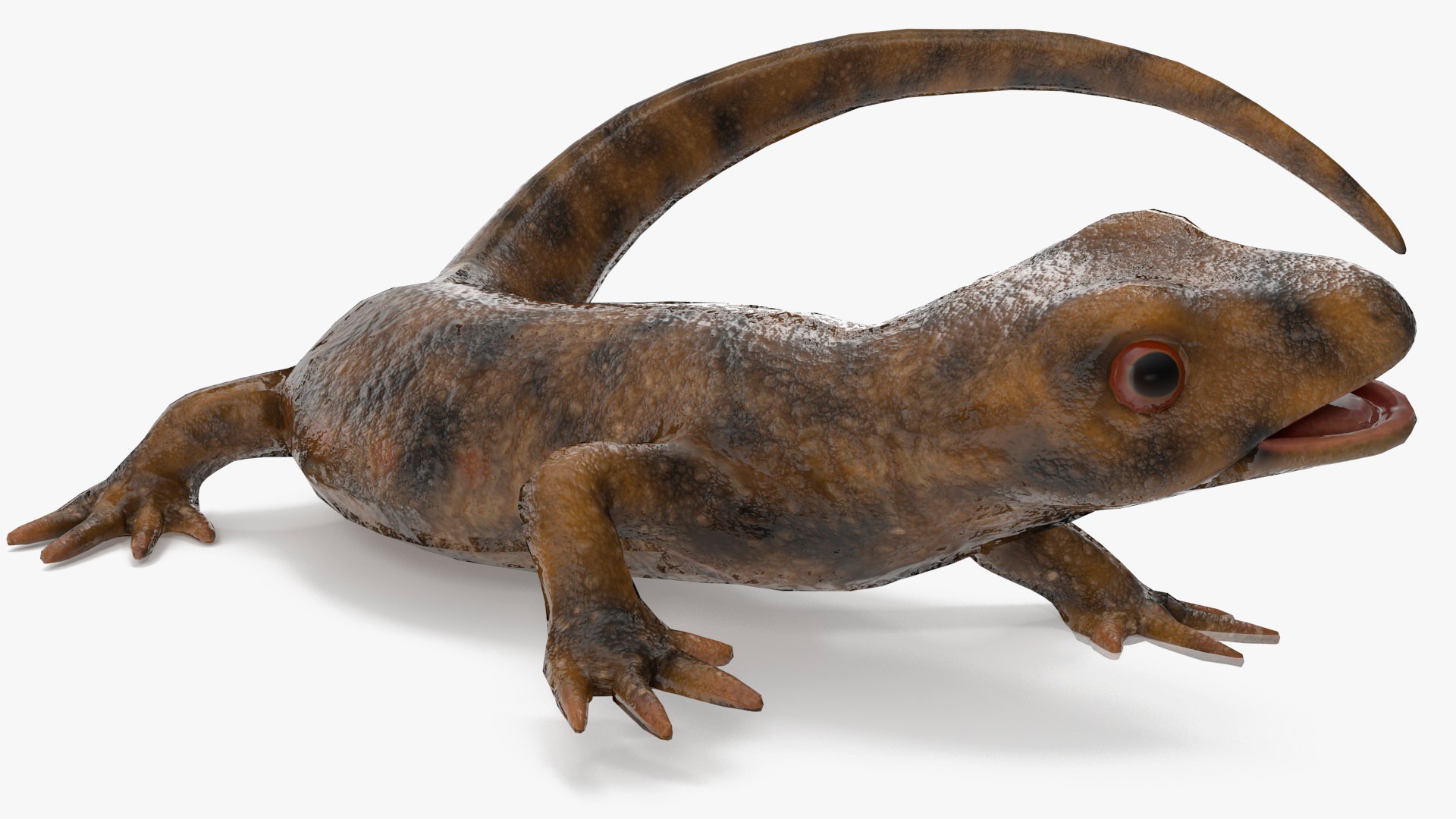 3D Iberian Ribbed Newt Rigged - TurboSquid 2143556