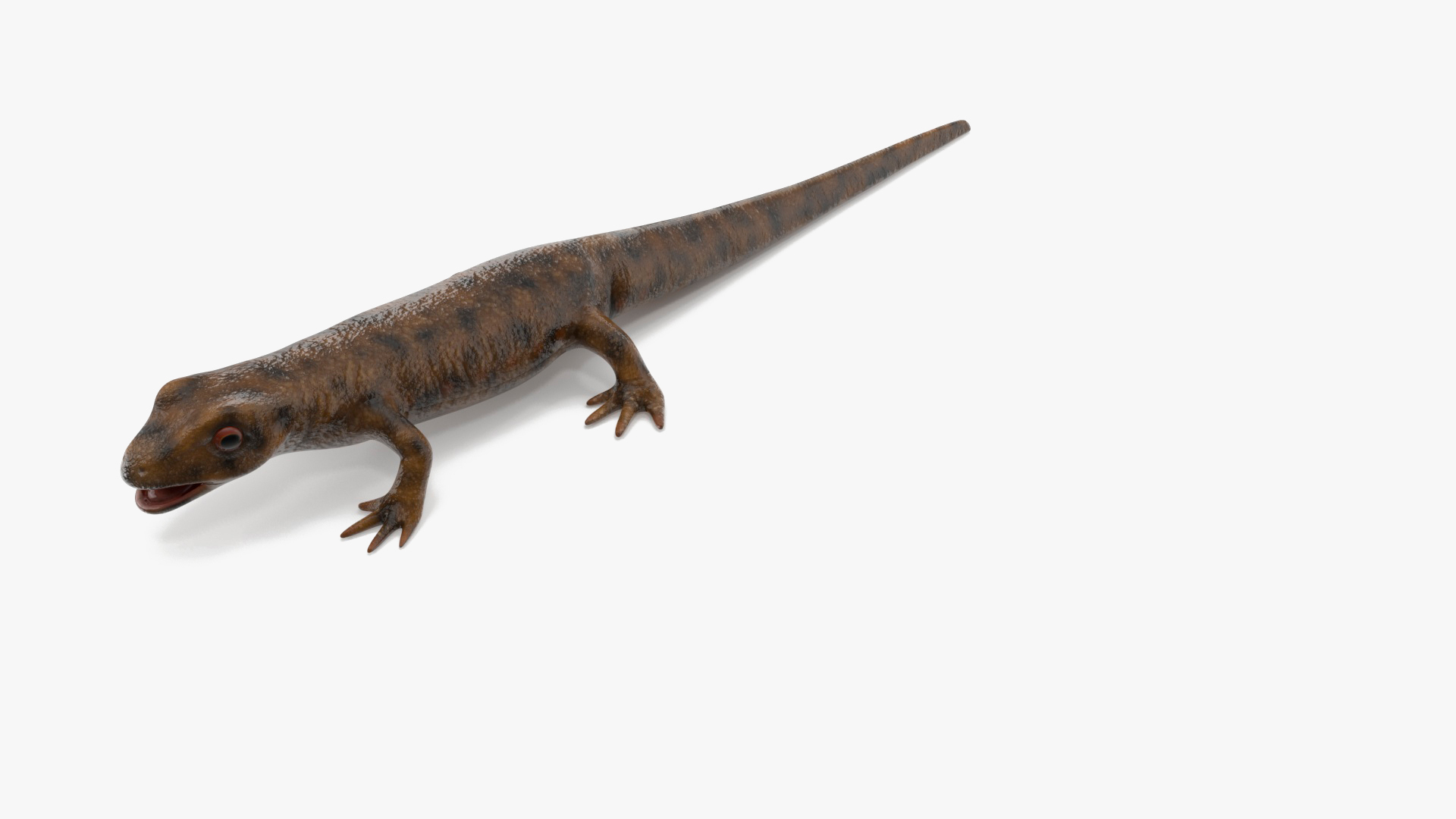 3D Iberian Ribbed Newt Rigged - TurboSquid 2143556