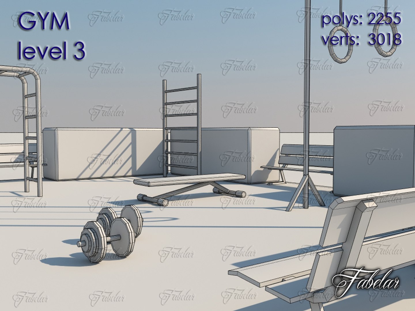 3d Model Gym Level 3