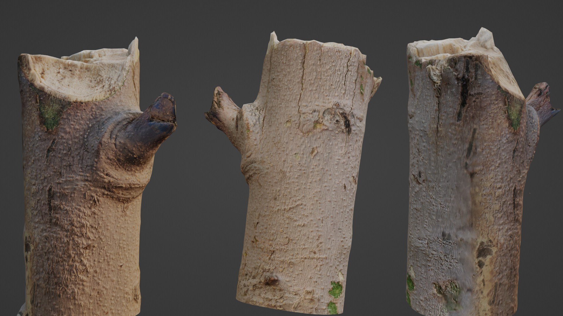 Tree Log 3D - TurboSquid 2330444