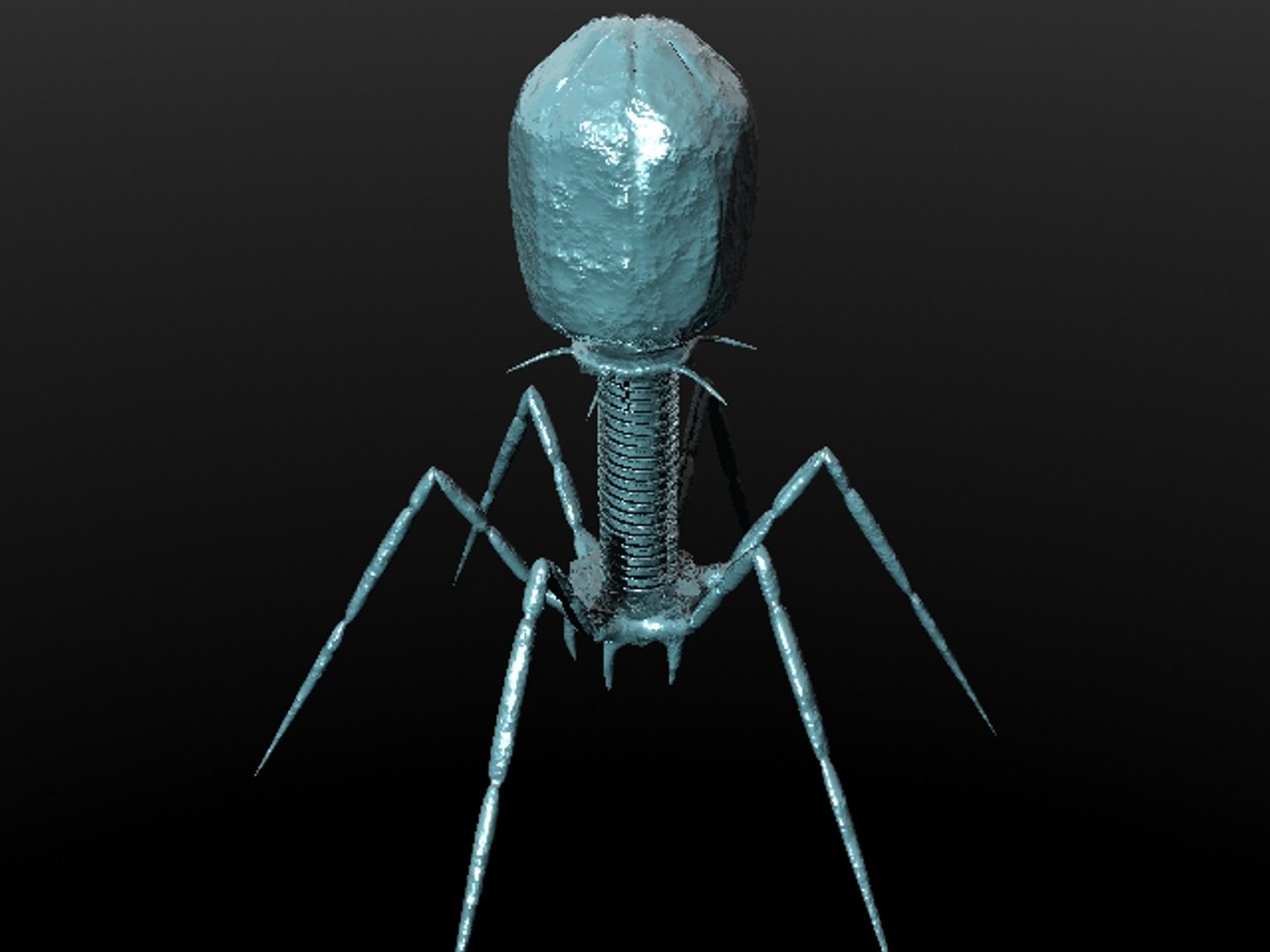 Lightwave Bacteriophage Phage
