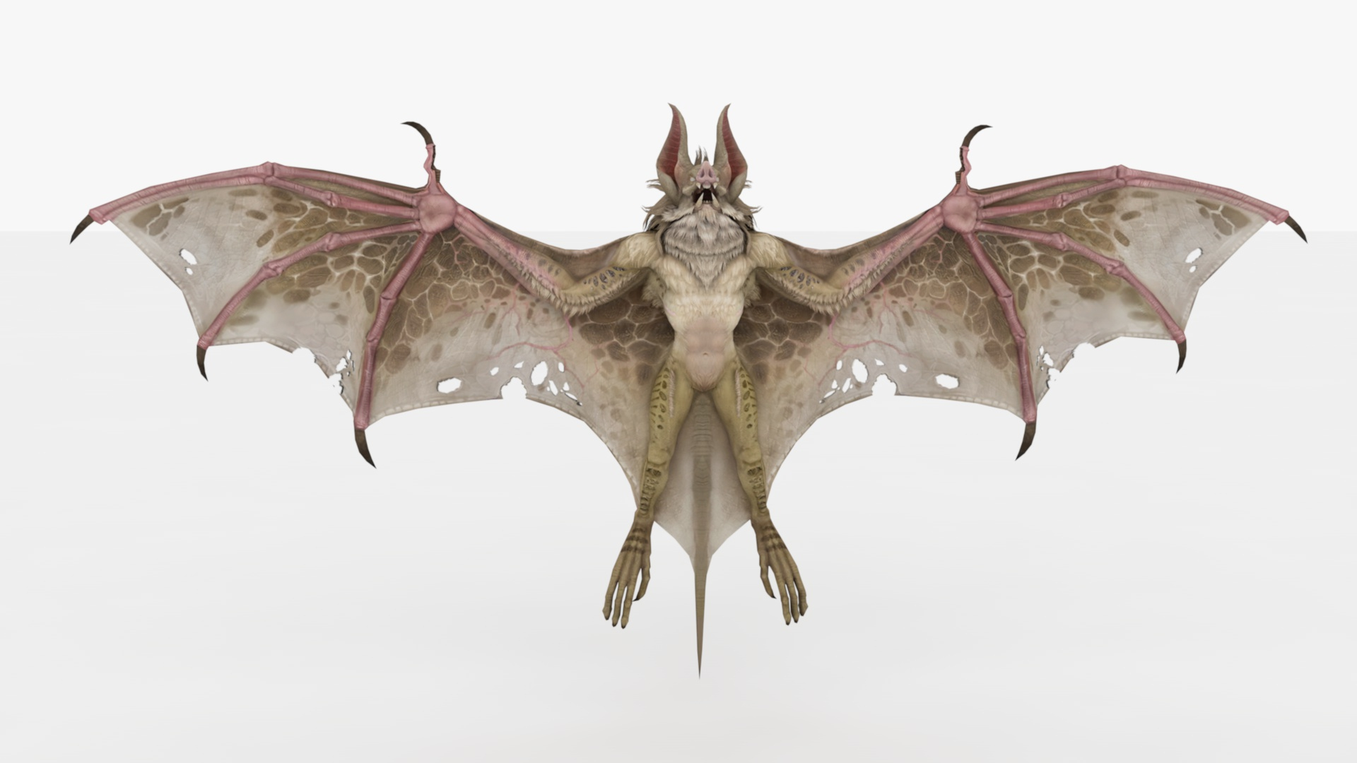 3D 3in1 Bat Rigged And Animated - TurboSquid 2343886