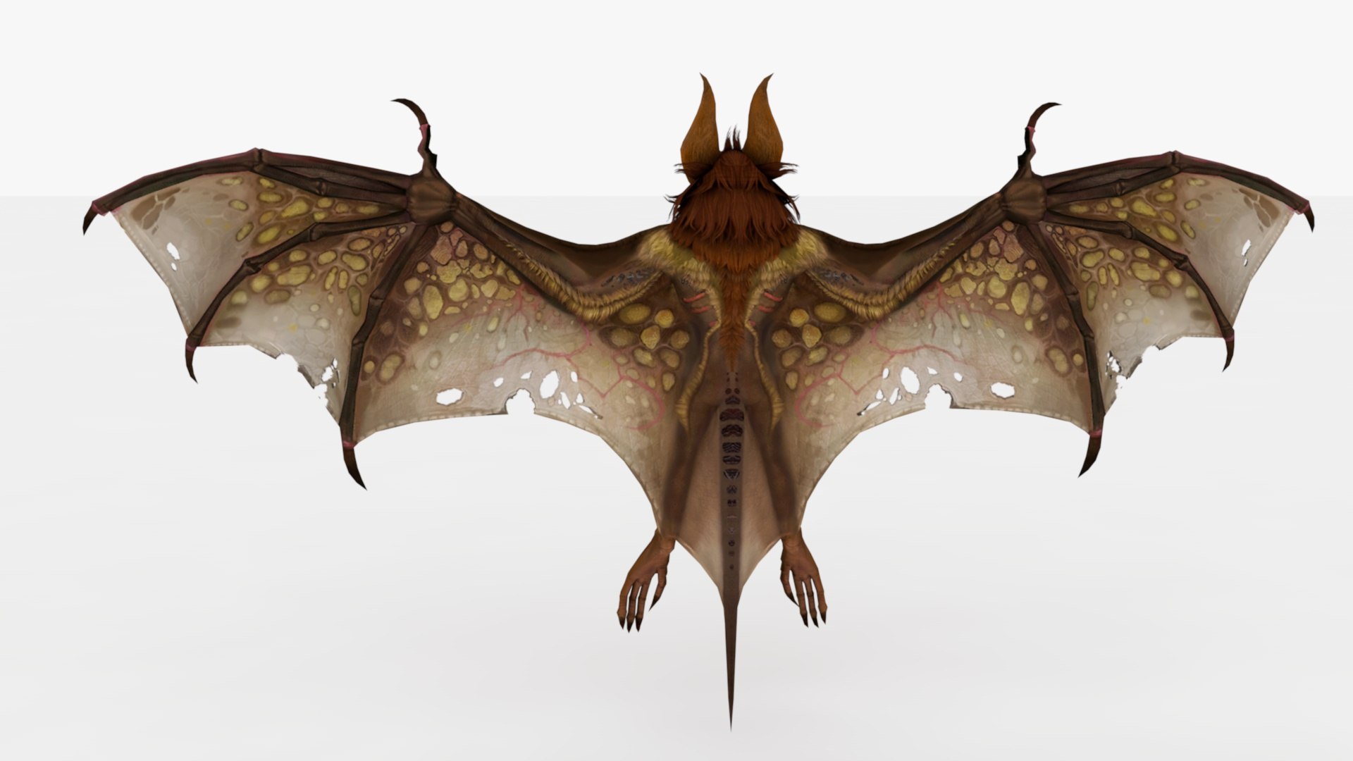3D 3in1 Bat Rigged And Animated - TurboSquid 2343886