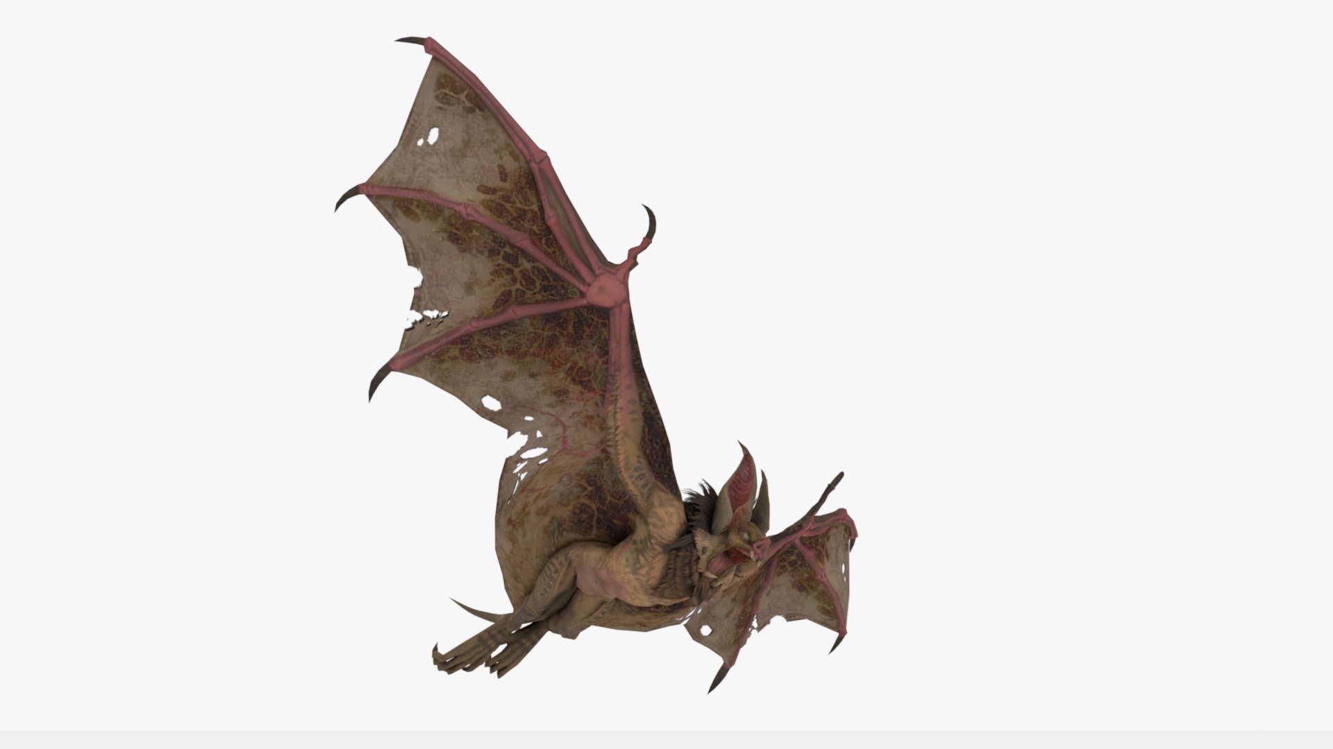 3D 3in1 Bat Rigged And Animated - TurboSquid 2343886