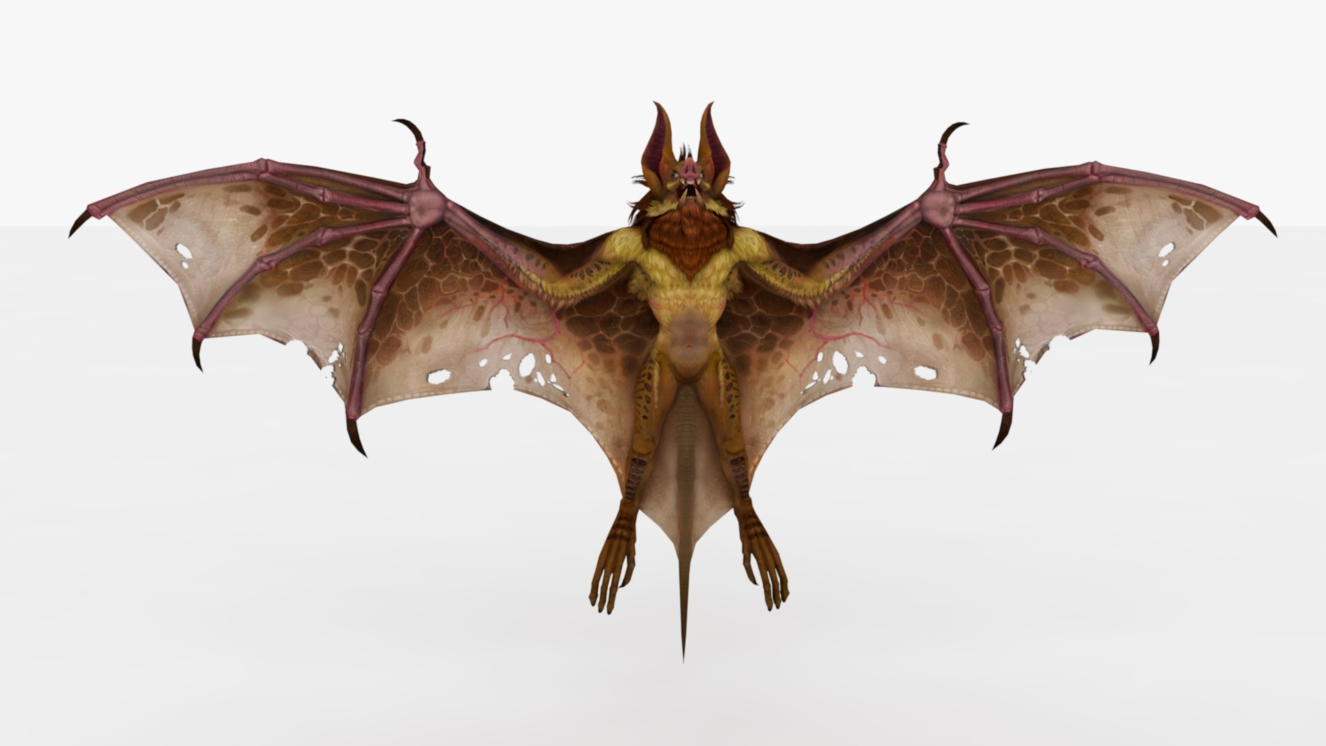 3D 3in1 Bat Rigged And Animated - TurboSquid 2343886