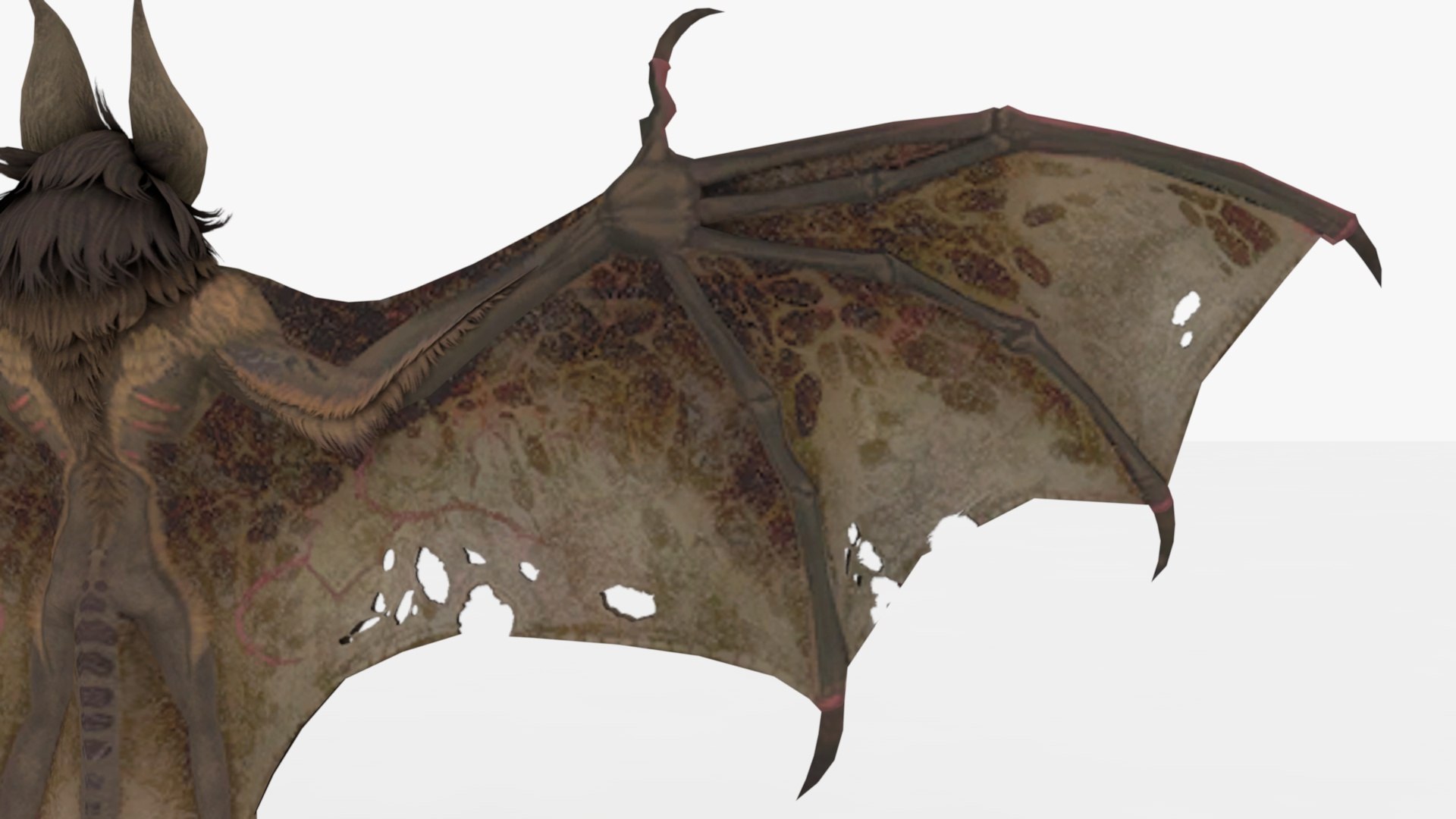 3D 3in1 Bat Rigged And Animated - TurboSquid 2343886