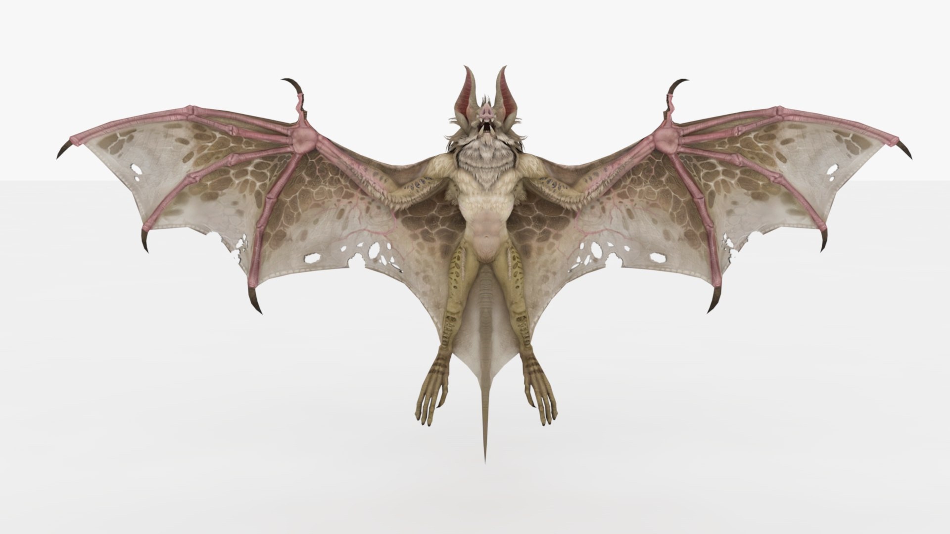 3D 3in1 Bat Rigged And Animated - TurboSquid 2343886