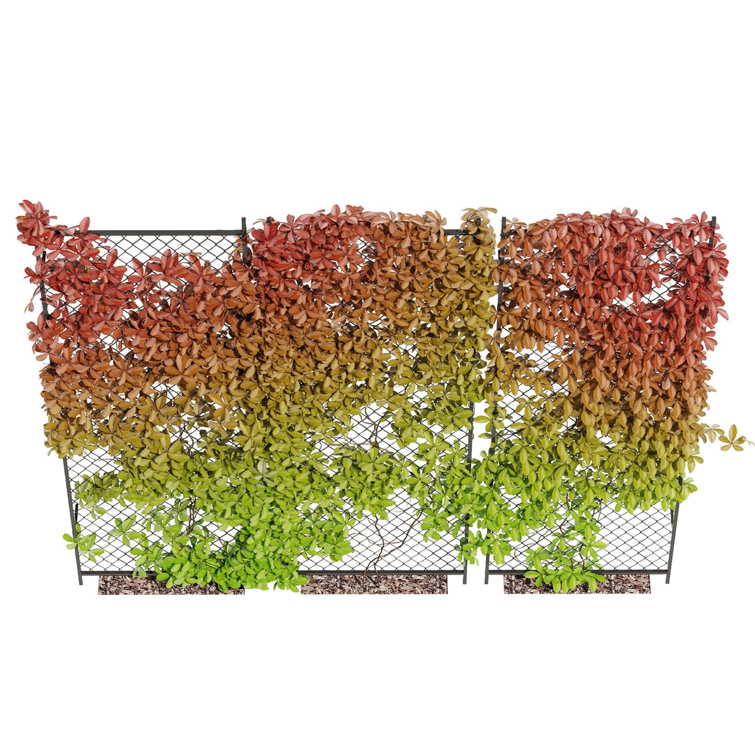 3D Ivy Wall Seven - TurboSquid 1793478